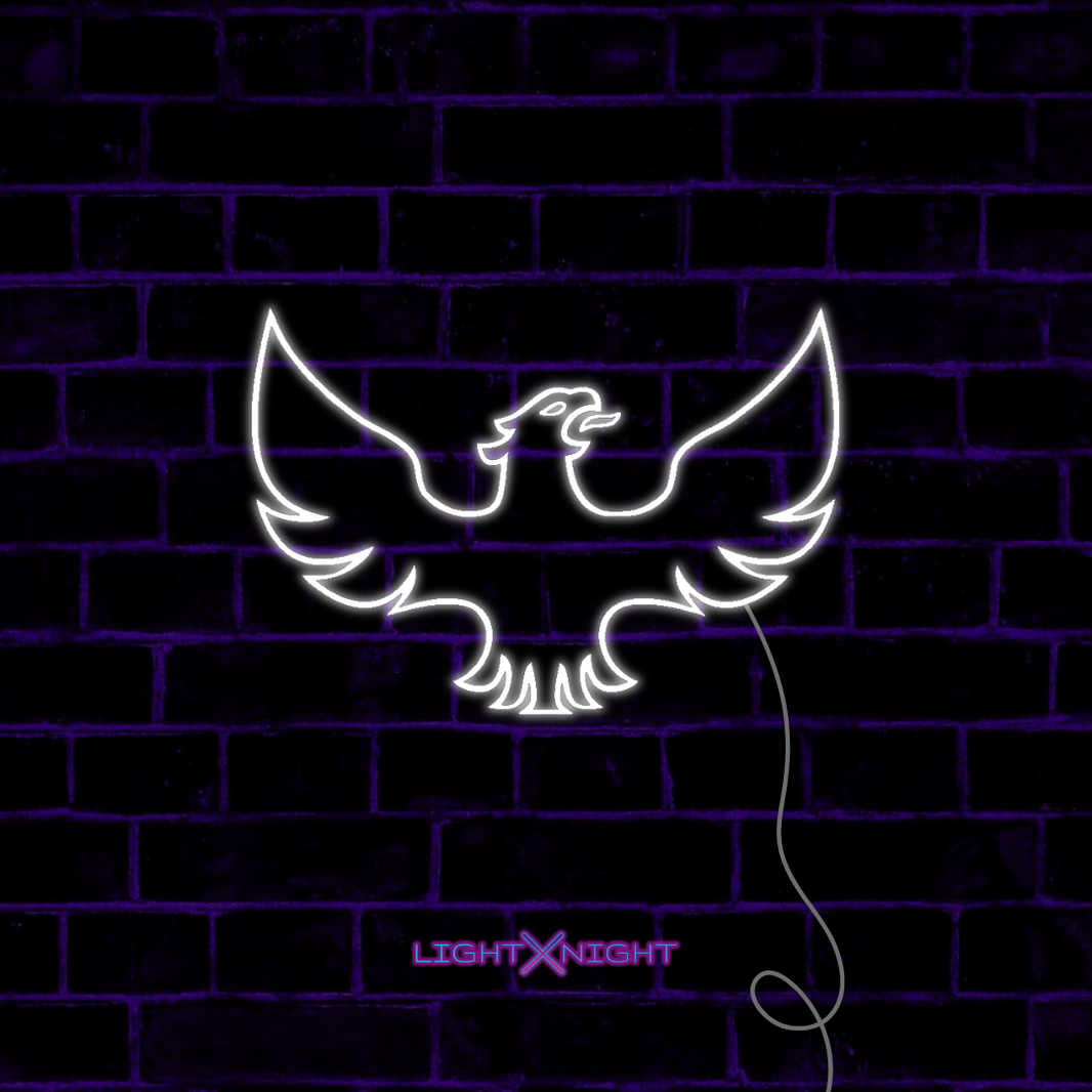 New Drops – Light X Night