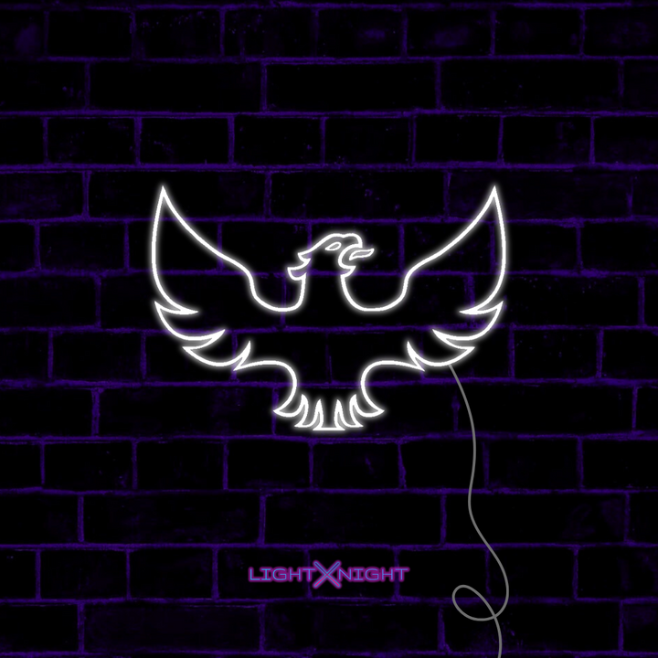 New Drops – Light X Night