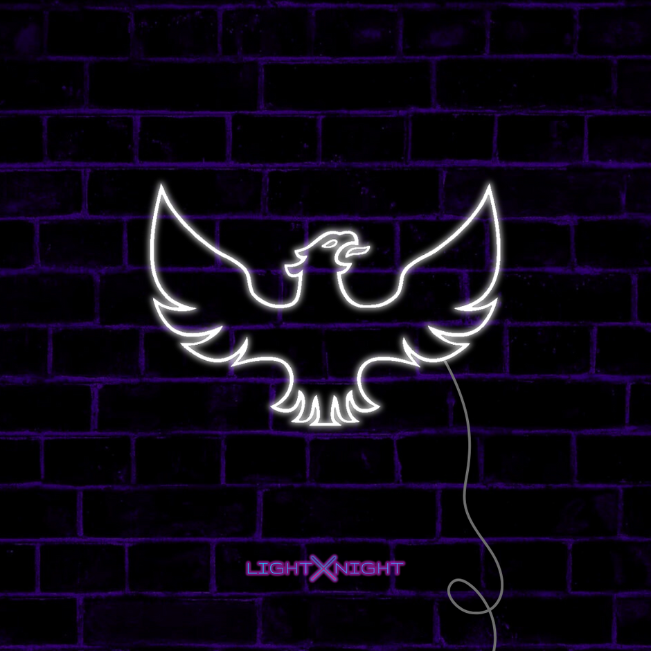 New Drops – Light X Night