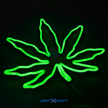 420 SPECIAL – Light X Night