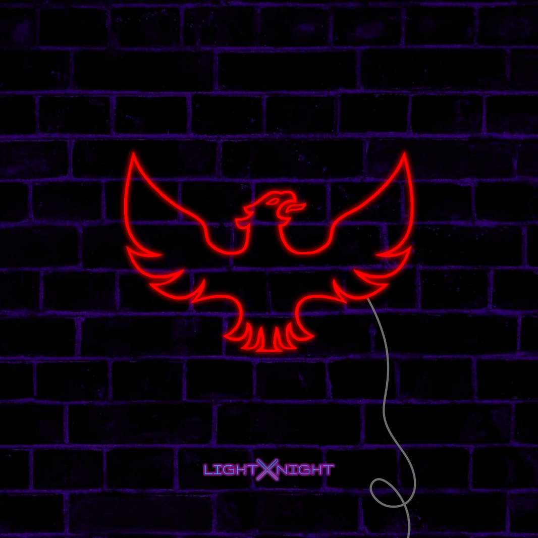 New Drops – Light X Night