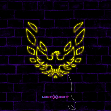 New Drops – Light X Night