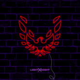 New Drops – Light X Night