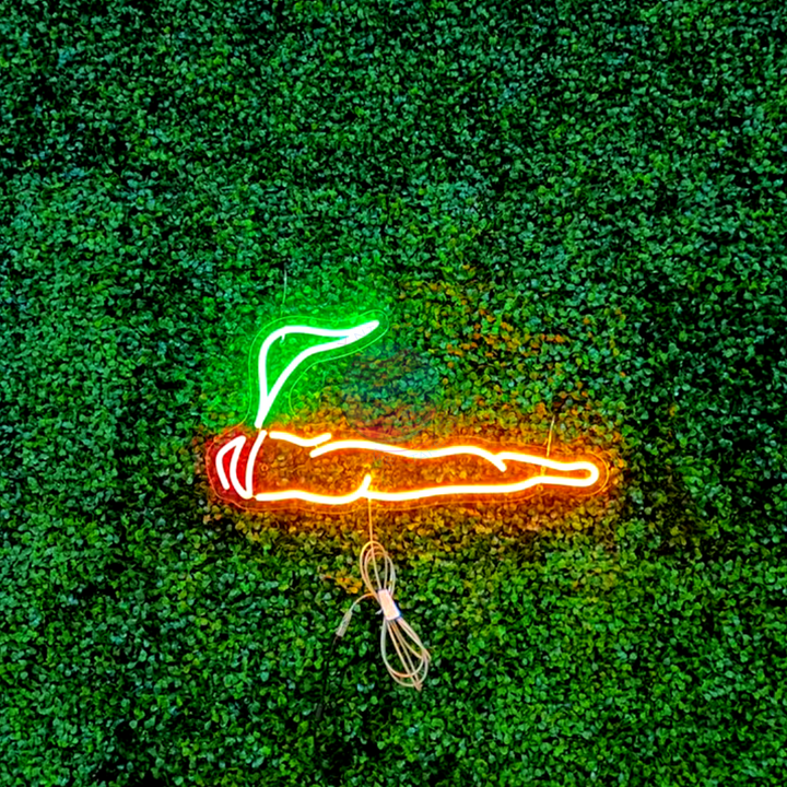 420 SPECIAL – Light X Night